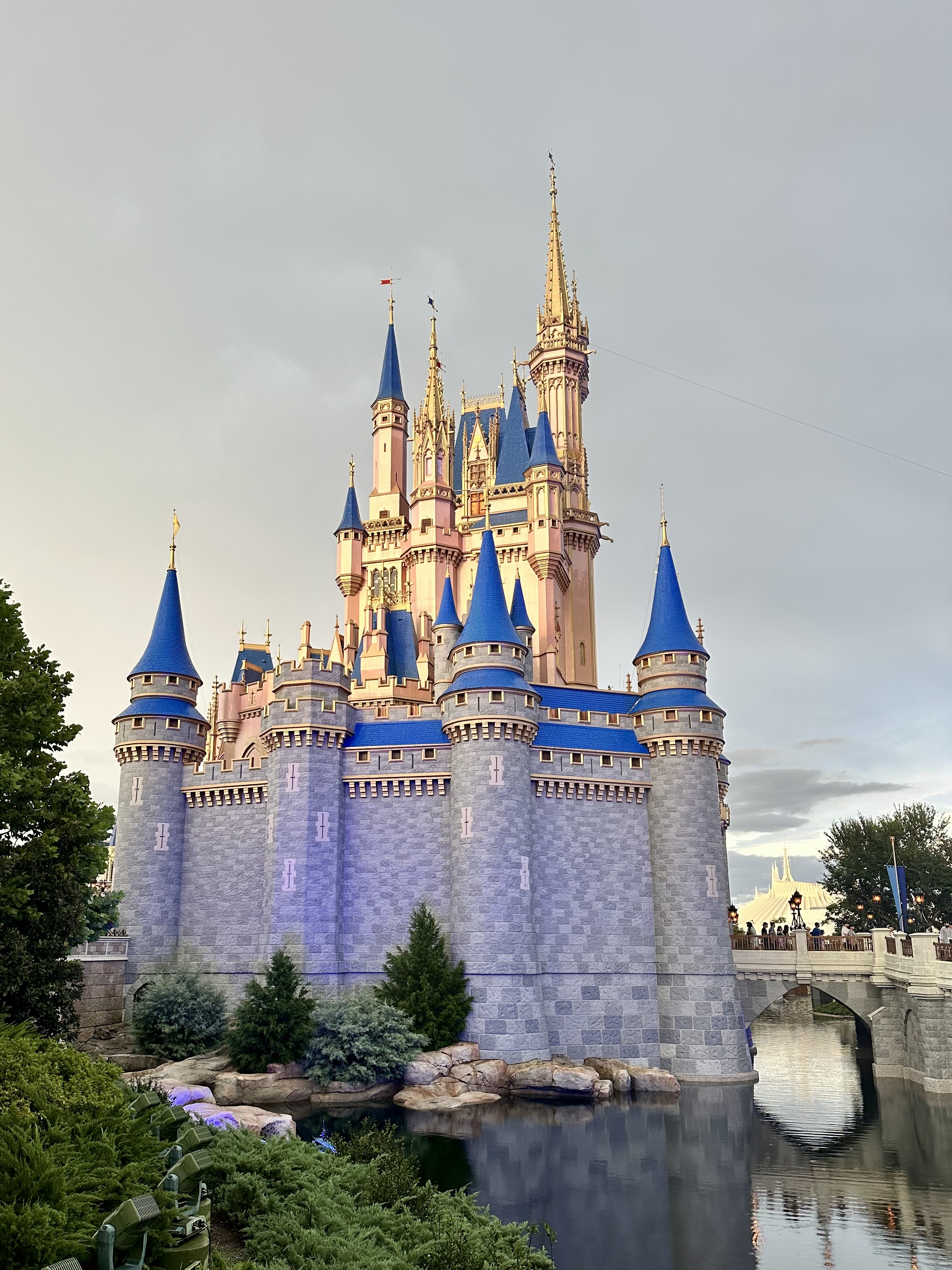 Panic Erupts at Disney World's Magic Kingdom After Fight and Balloon ...